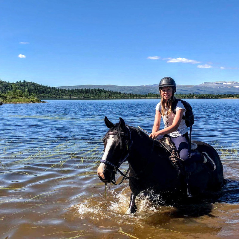 Horseback Riding Summer - Jotunheimen